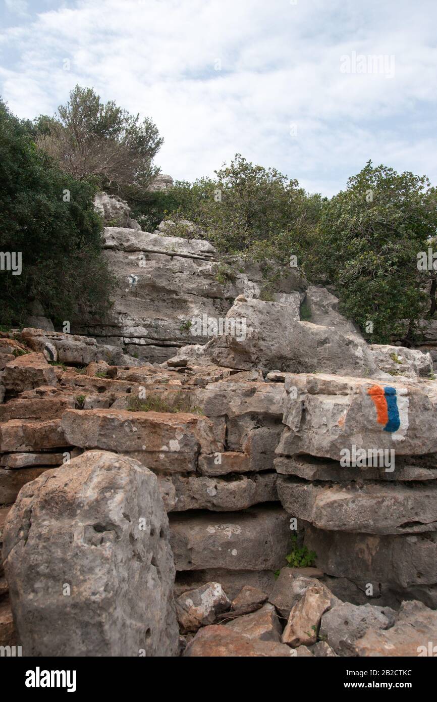 Israeli nature hi-res stock photography and images - Alamy