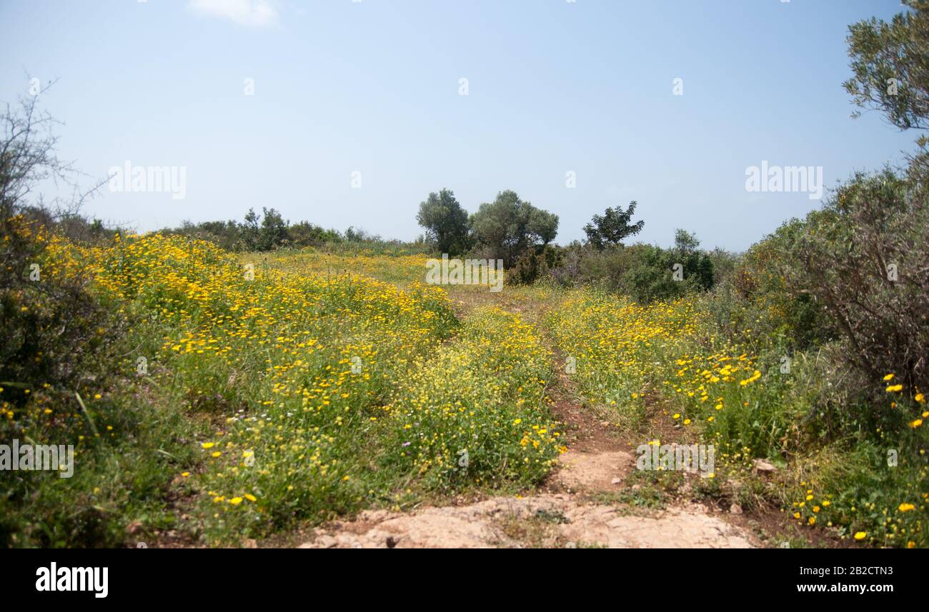 Hiking in Israeli nature landscape with good weather under cloudy sky ...