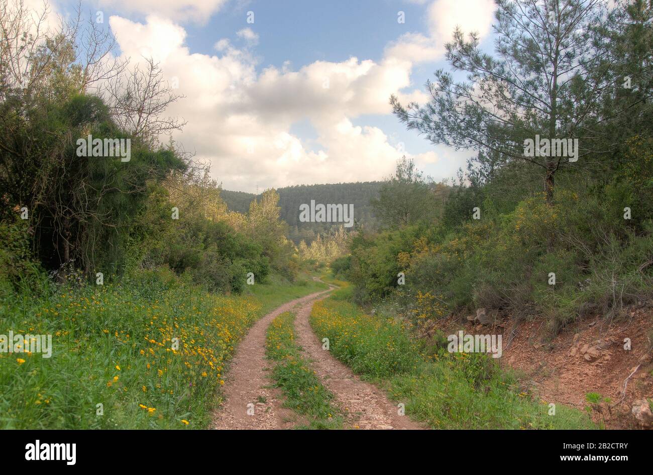 Hiking in Israeli nature landscape with good weather under cloudy sky ...