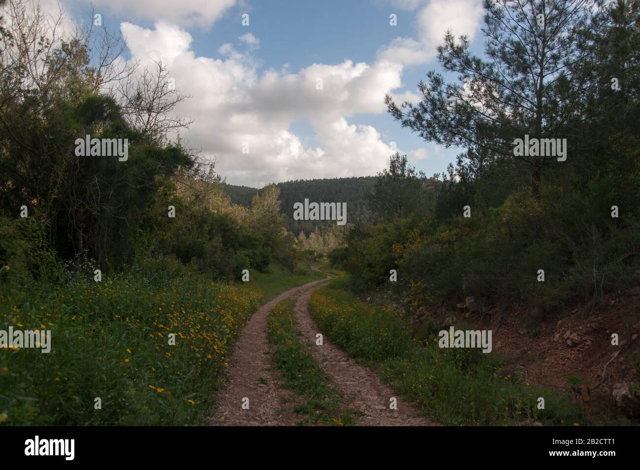 Hiking in Israeli nature landscape with good weather under cloudy sky ...