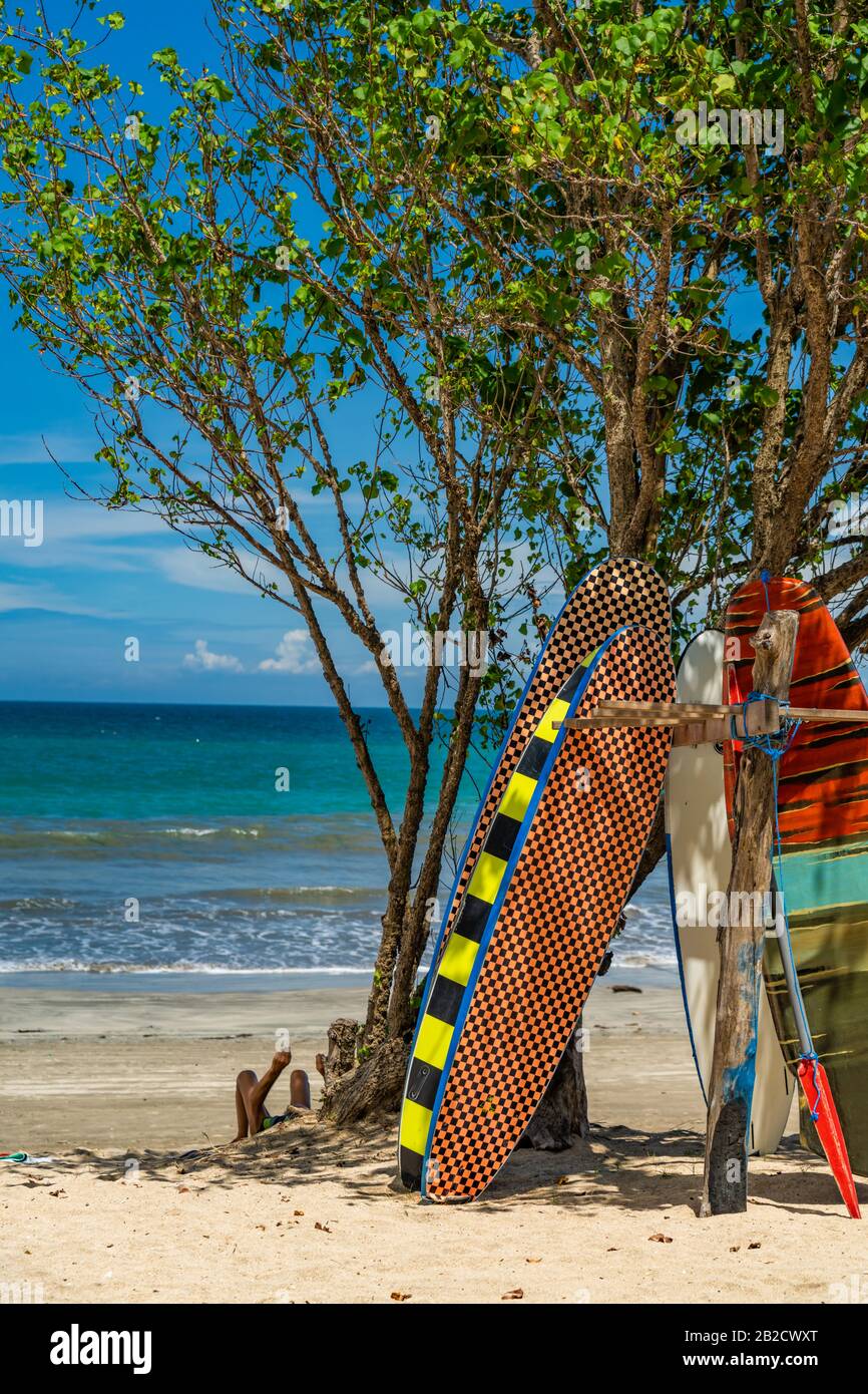 Surfer girl on wave indonesia hi-res stock photography and images - Alamy