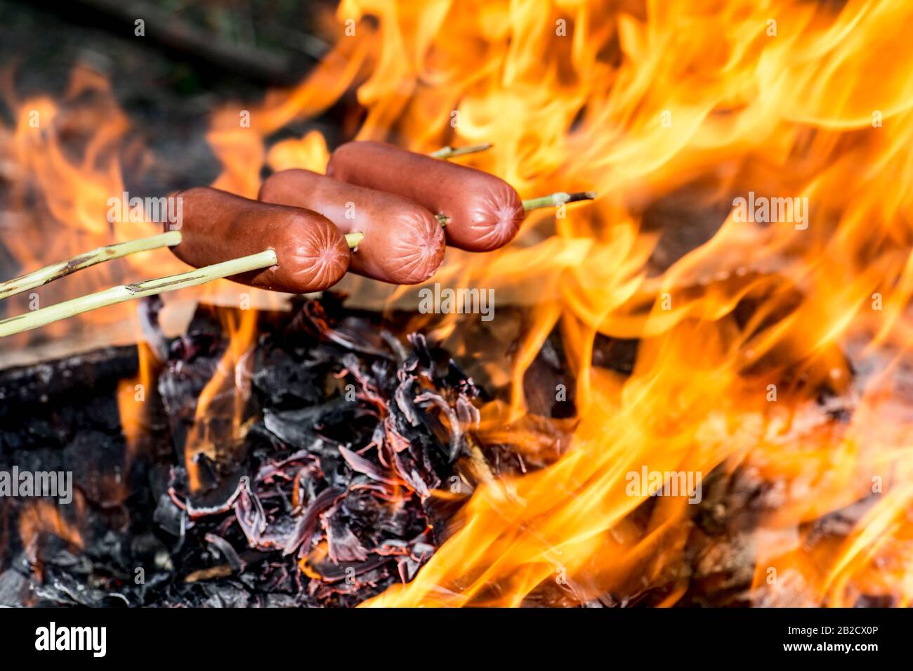 Beef sausages are fried on an open fire. Background. The concept is a ...