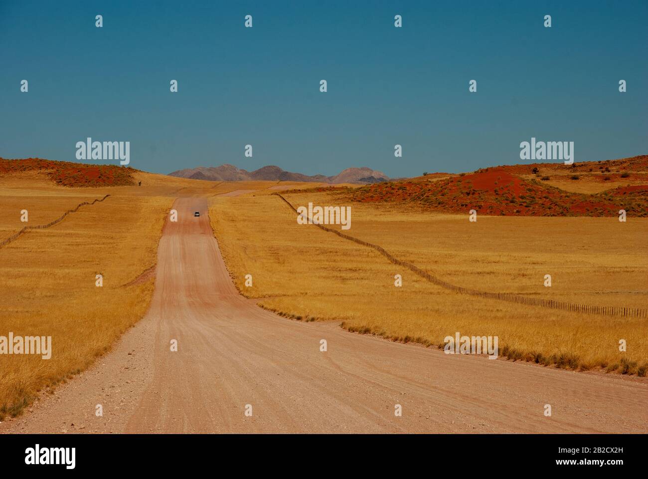 C14 hi-res stock photography and images - Alamy