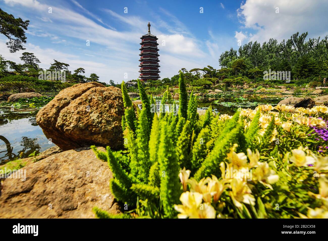 Traditional Chinese City Garden Park close-up photo Stock Photo - Alamy
