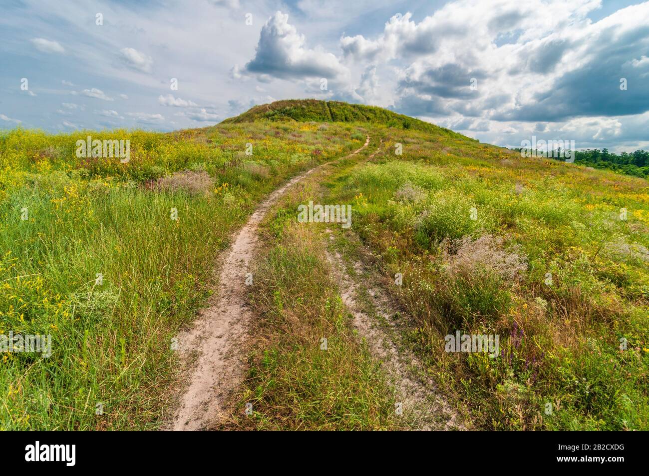 Curved dirt road at the countryside. Summer landscape with wildflowers ...