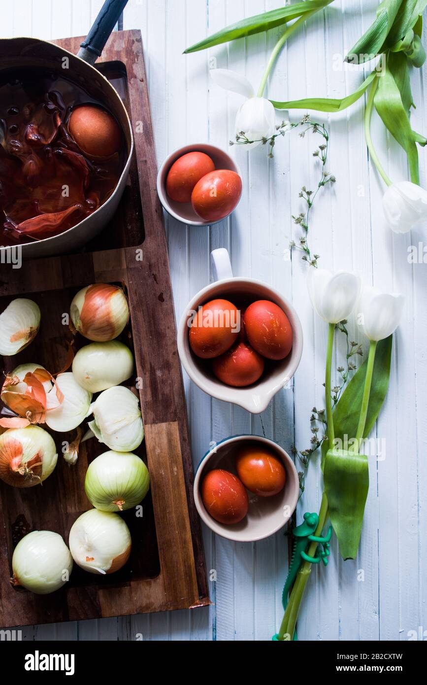 Dyeing eggs for Easter holidays, coloring with different color and ...