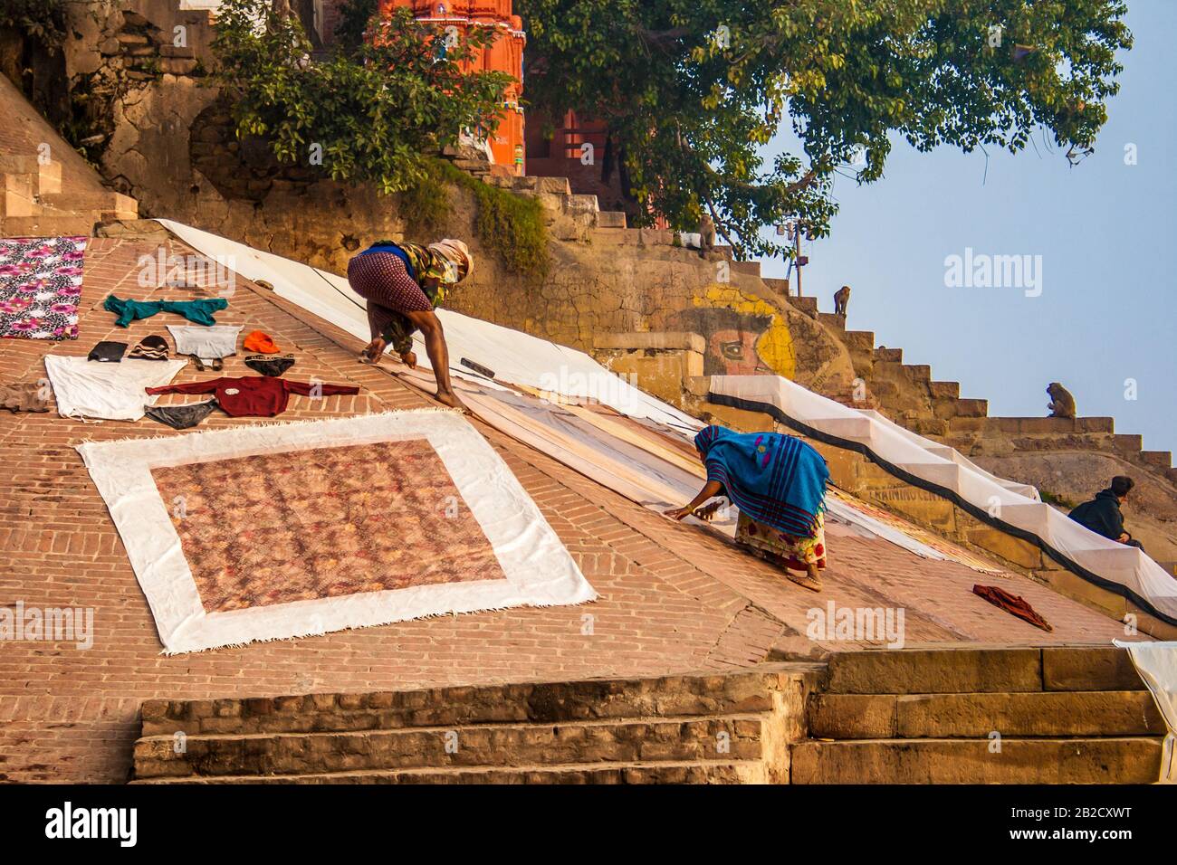 Couple of man and woman hangs clothes for drying in an open area near ...