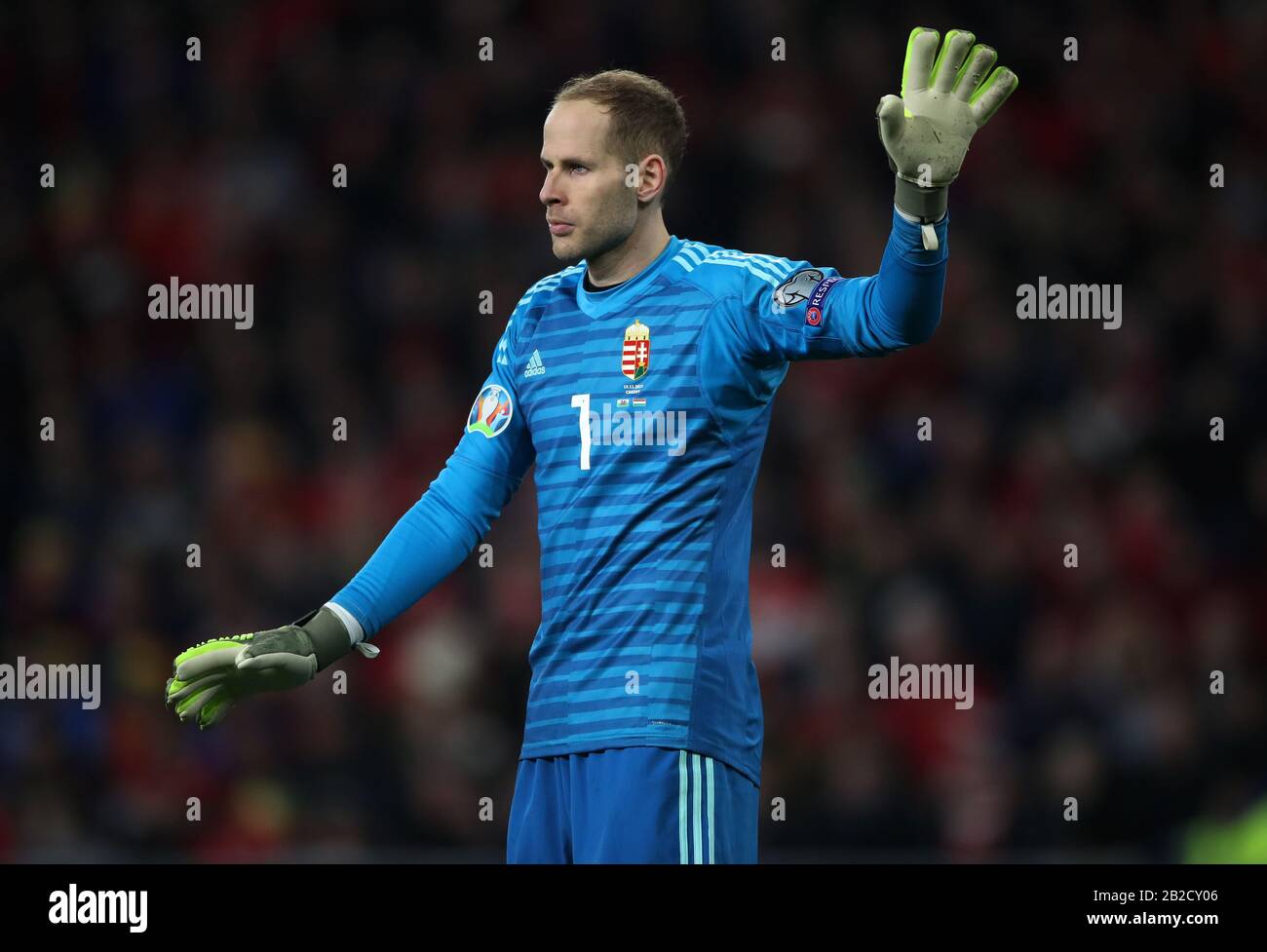 Hungary goalkeeper Peter Gulacsi during the UEFA Euro 2020 Qualifying ...