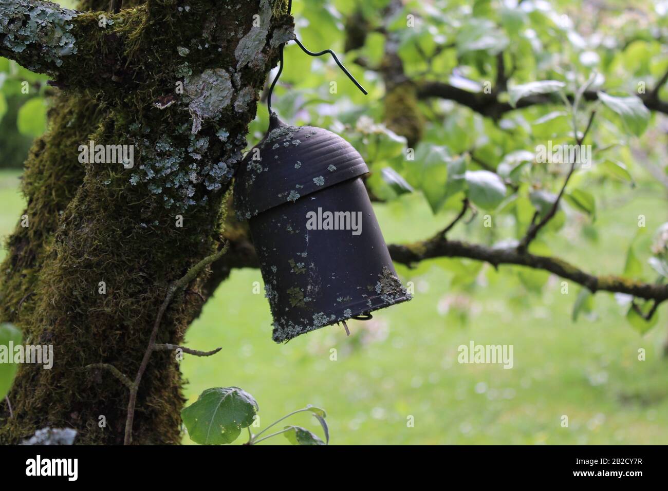 Earwig house hi-res stock photography and images - Alamy