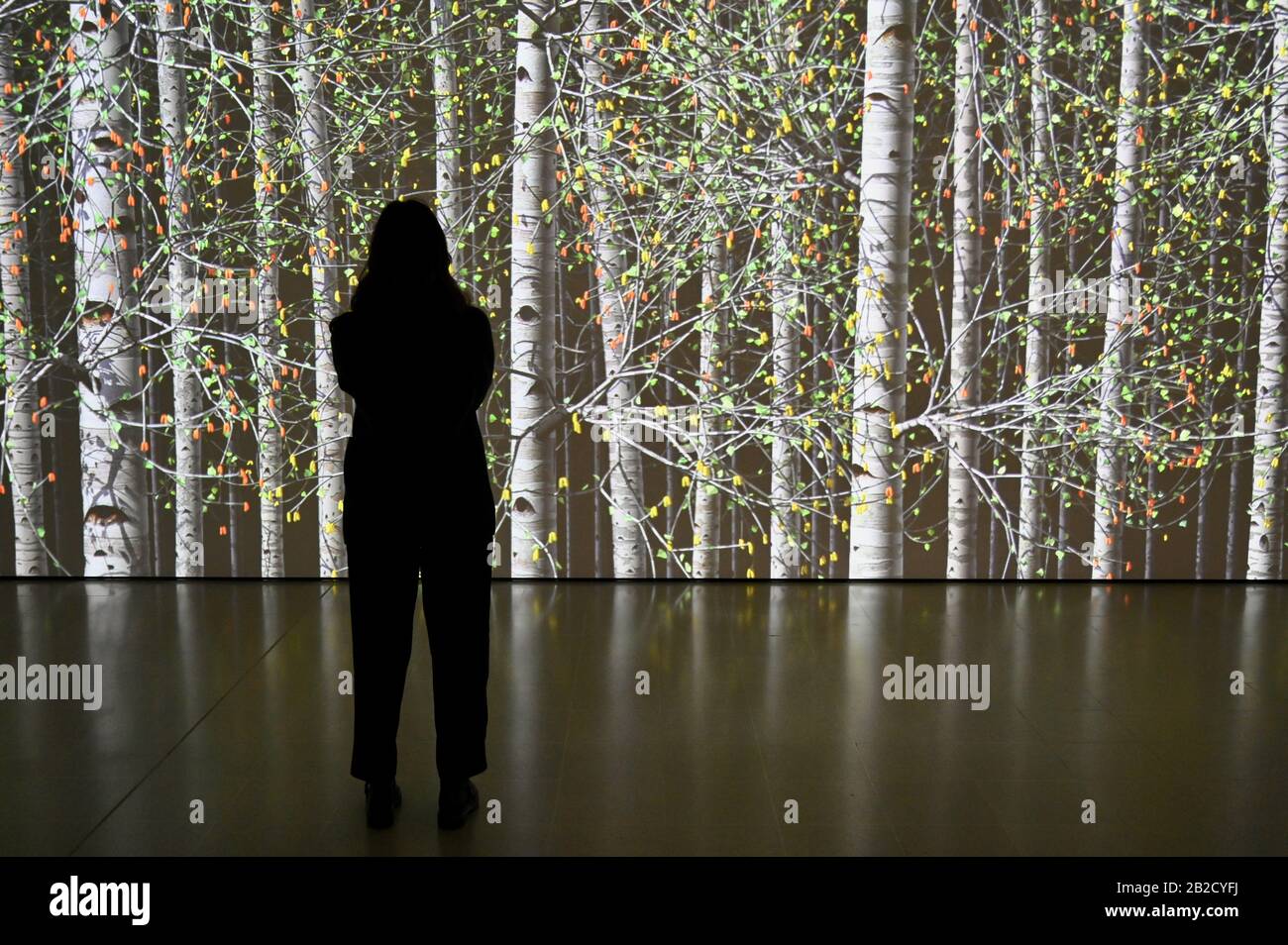 Jennifer Steinkamp. Blind Eye, 1 2018. Video Installation. Among the ...