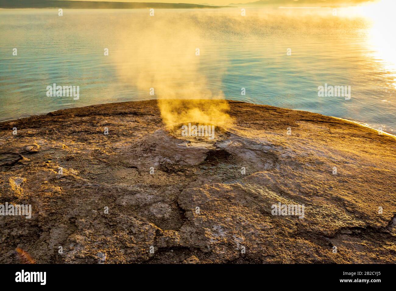 BIg Cone is a geyser in the West Thumb Geyser Basin of Yellowstone ...