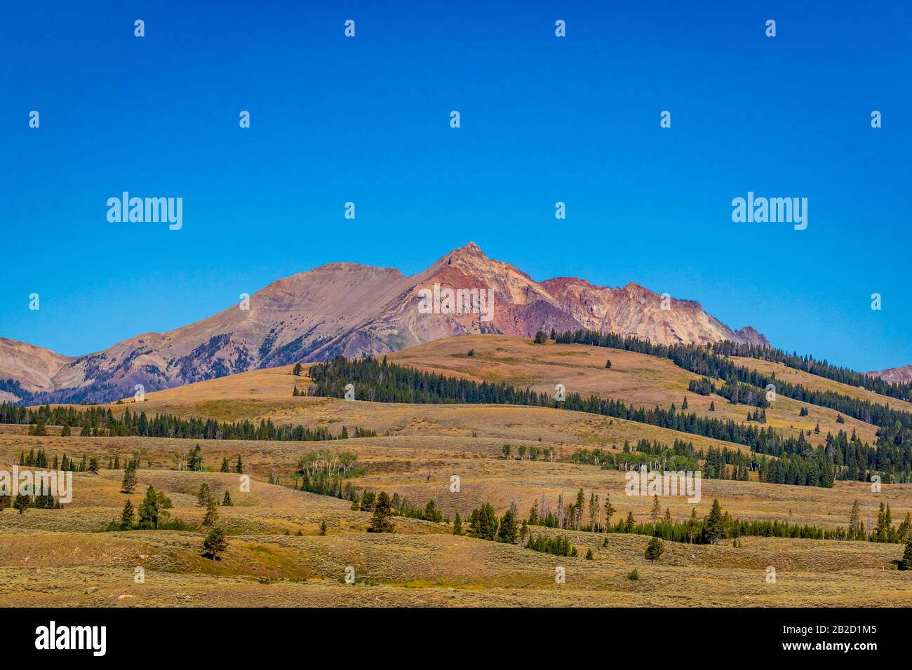 Gallatin range hi-res stock photography and images - Alamy