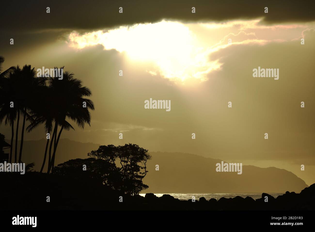 Dramatic sunset, with sun rays piercing clouds, silhouetted palm trees ...