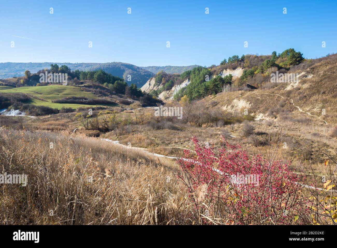 Transylvania nature park hi-res stock photography and images - Alamy