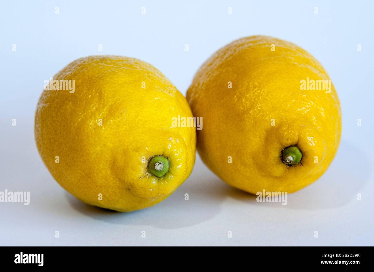 Two fresh whole lemons Stock Photo - Alamy