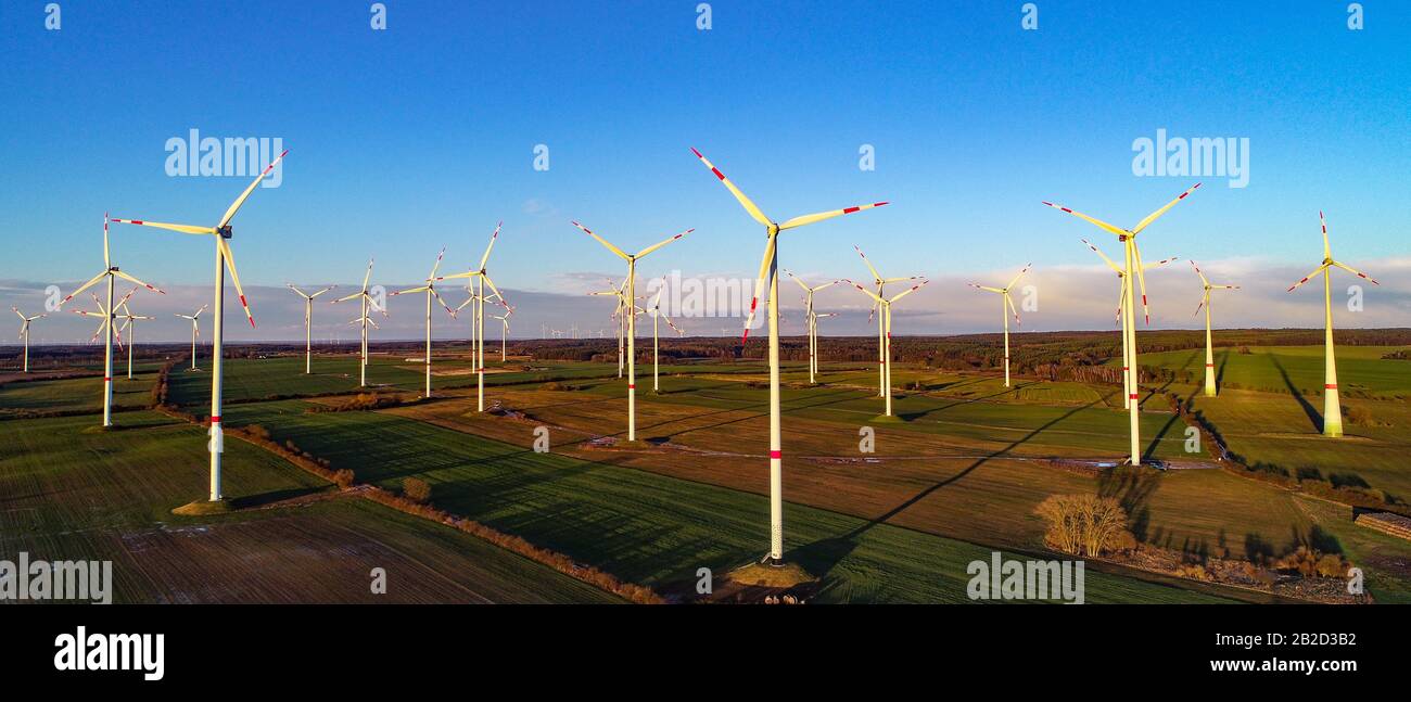 Sieversdorf, Germany. 01st Mar, 2020. Wind turbines at the "Odervorland ...