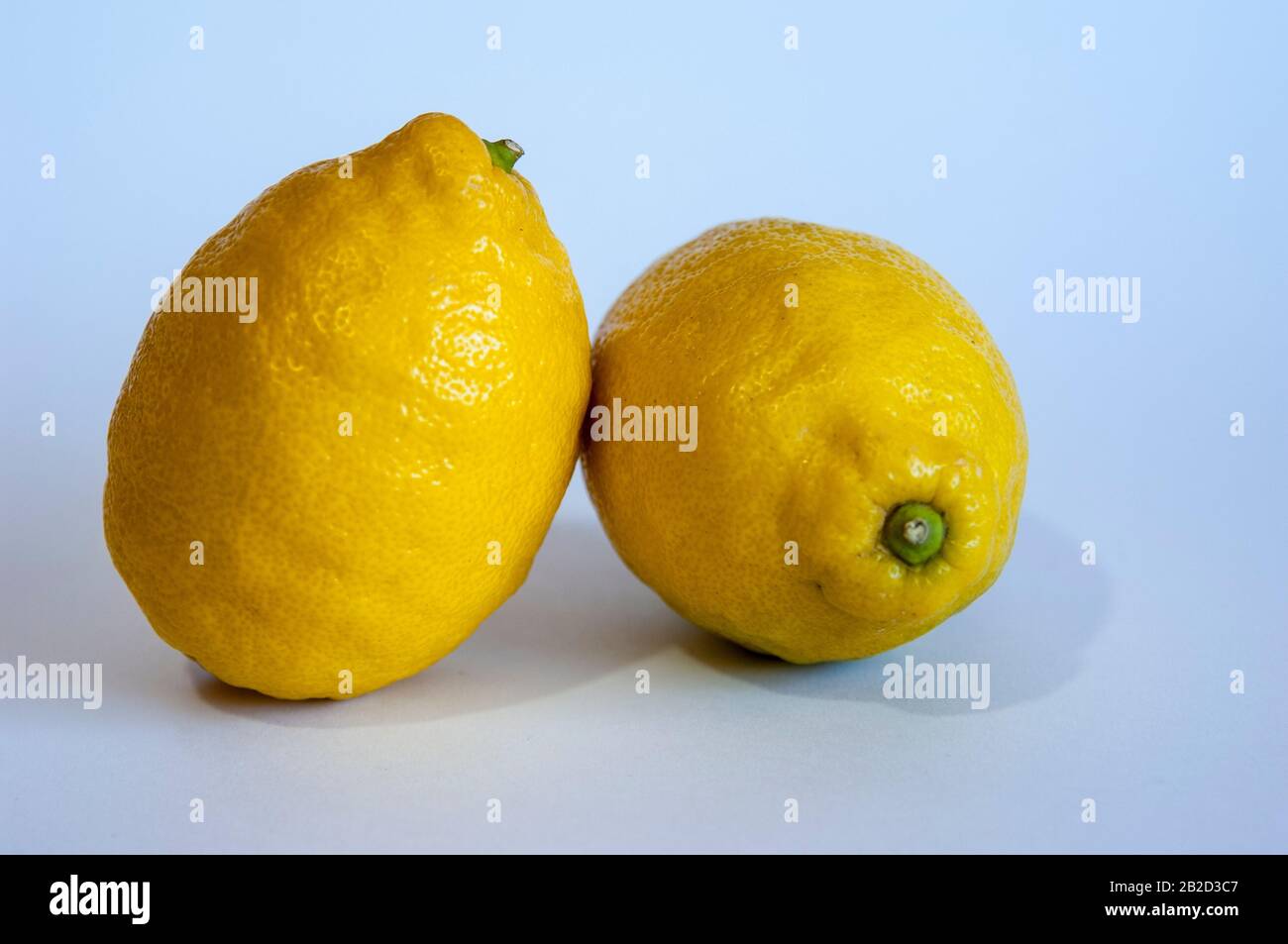 Two fresh whole lemons Stock Photo - Alamy