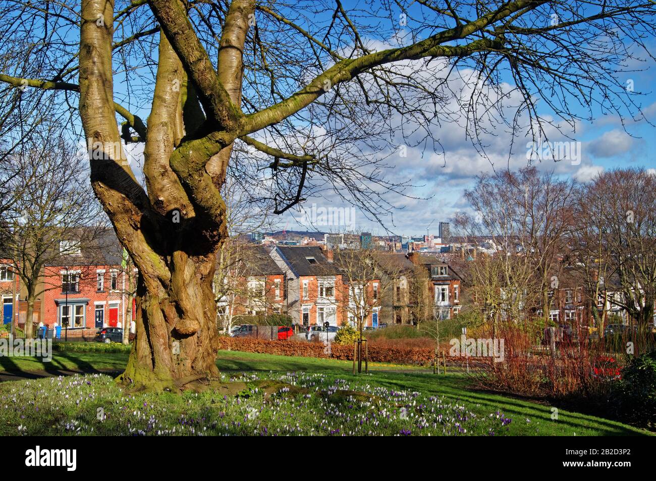 Brook road entrance hi-res stock photography and images - Alamy