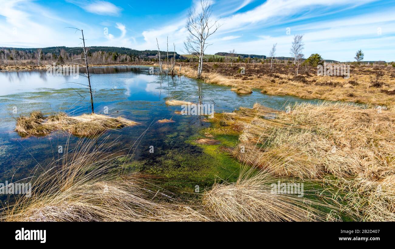 A few impressions from the largest bog and nature reserve in southern ...