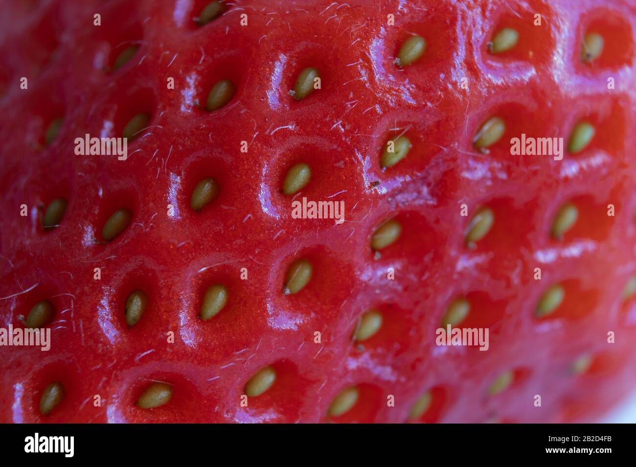 Marked details hi-res stock photography and images - Alamy