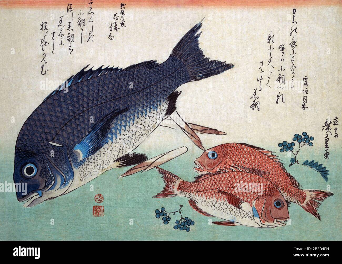 Kodai fish hi-res stock photography and images - Alamy