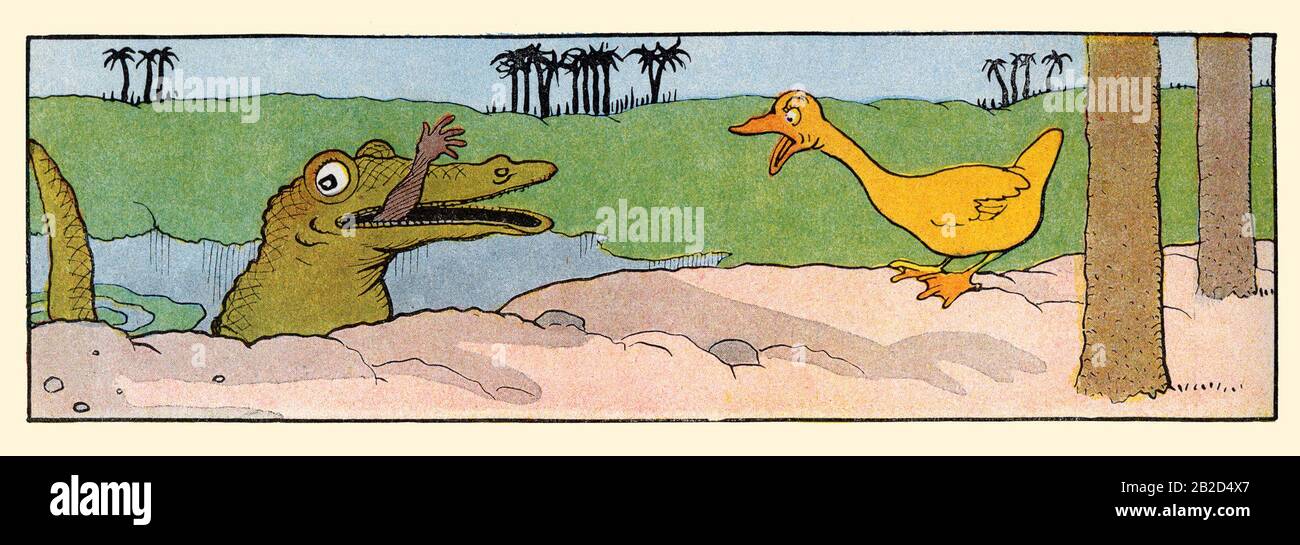 Duck and crocodile hi-res stock photography and images - Alamy