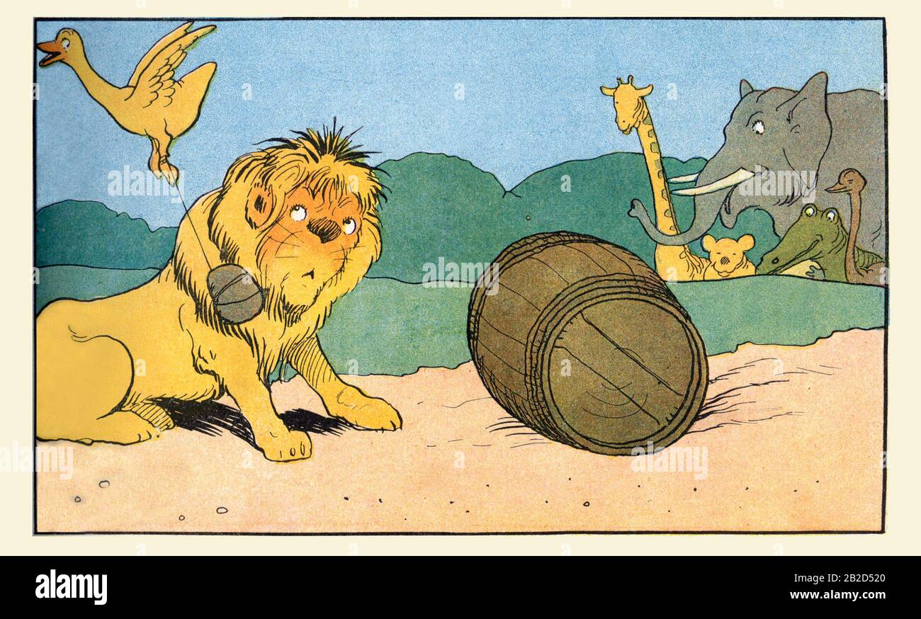 Springing the Trap on Lion Stock Photo - Alamy