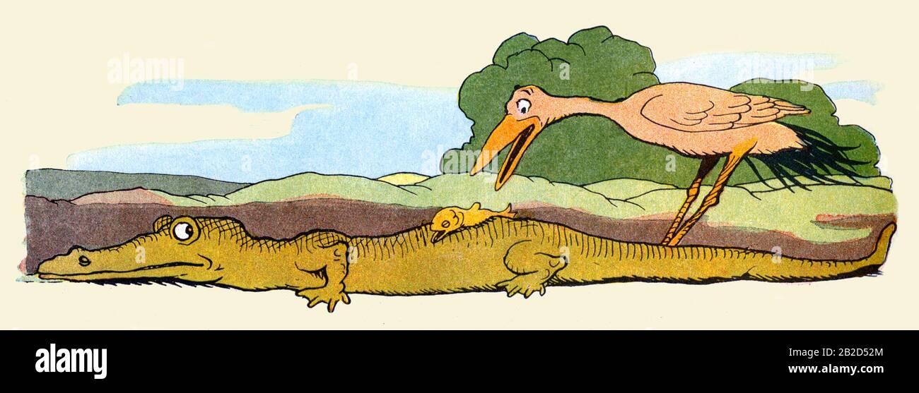 Setting a Trap Stock Photo - Alamy