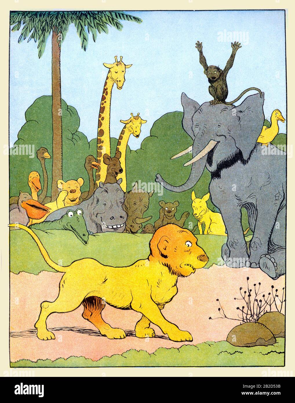 Bald Lion High Resolution Stock Photography and Images - Alamy