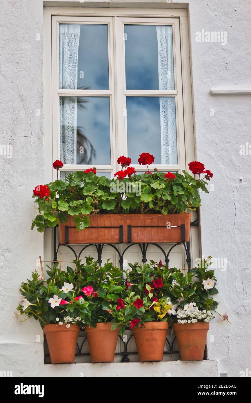 Traditional Andalusian window decoration with flowers in a house in ...
