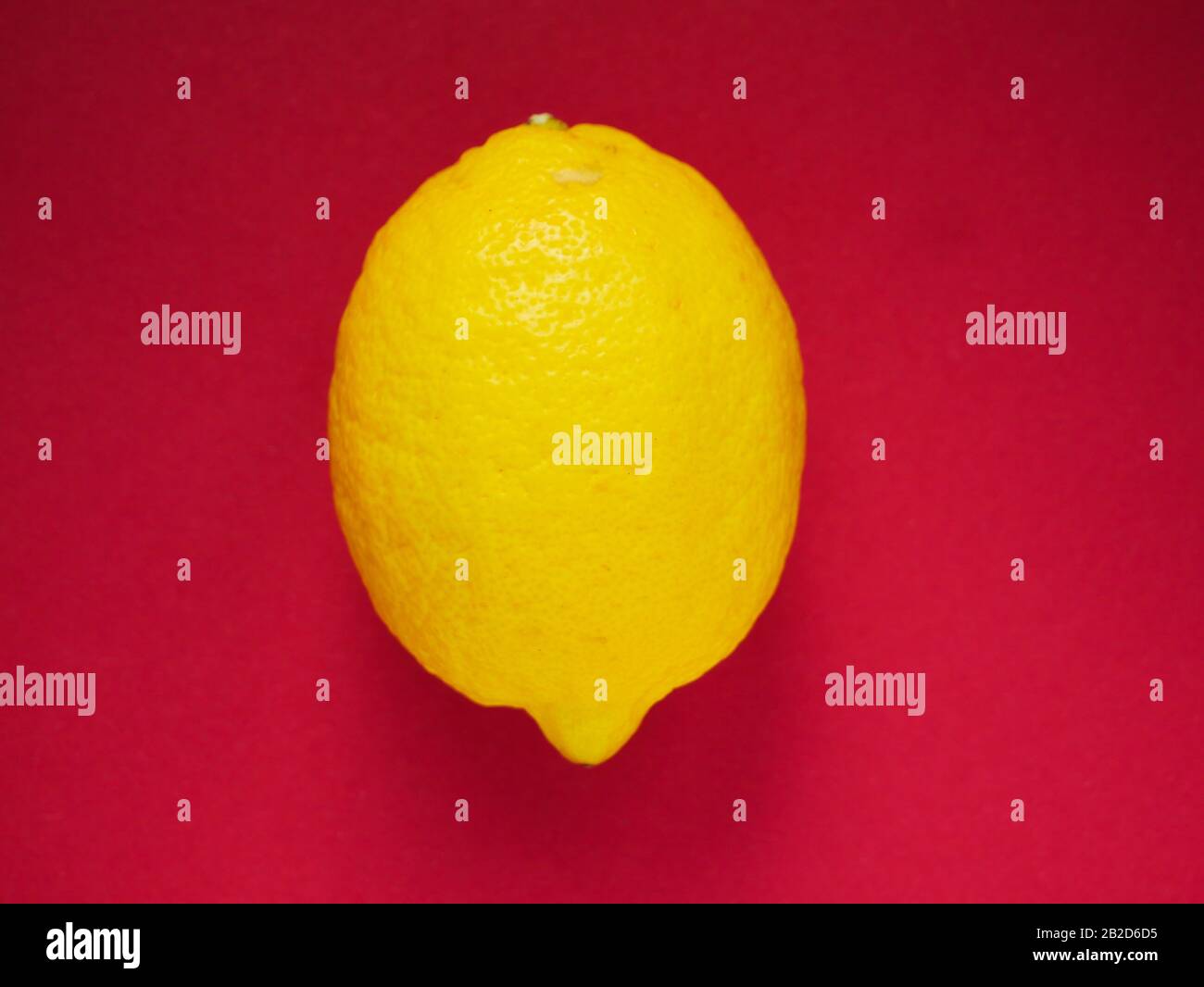 Lemon sweet on a red background, top view. Trendy colorful photo ...