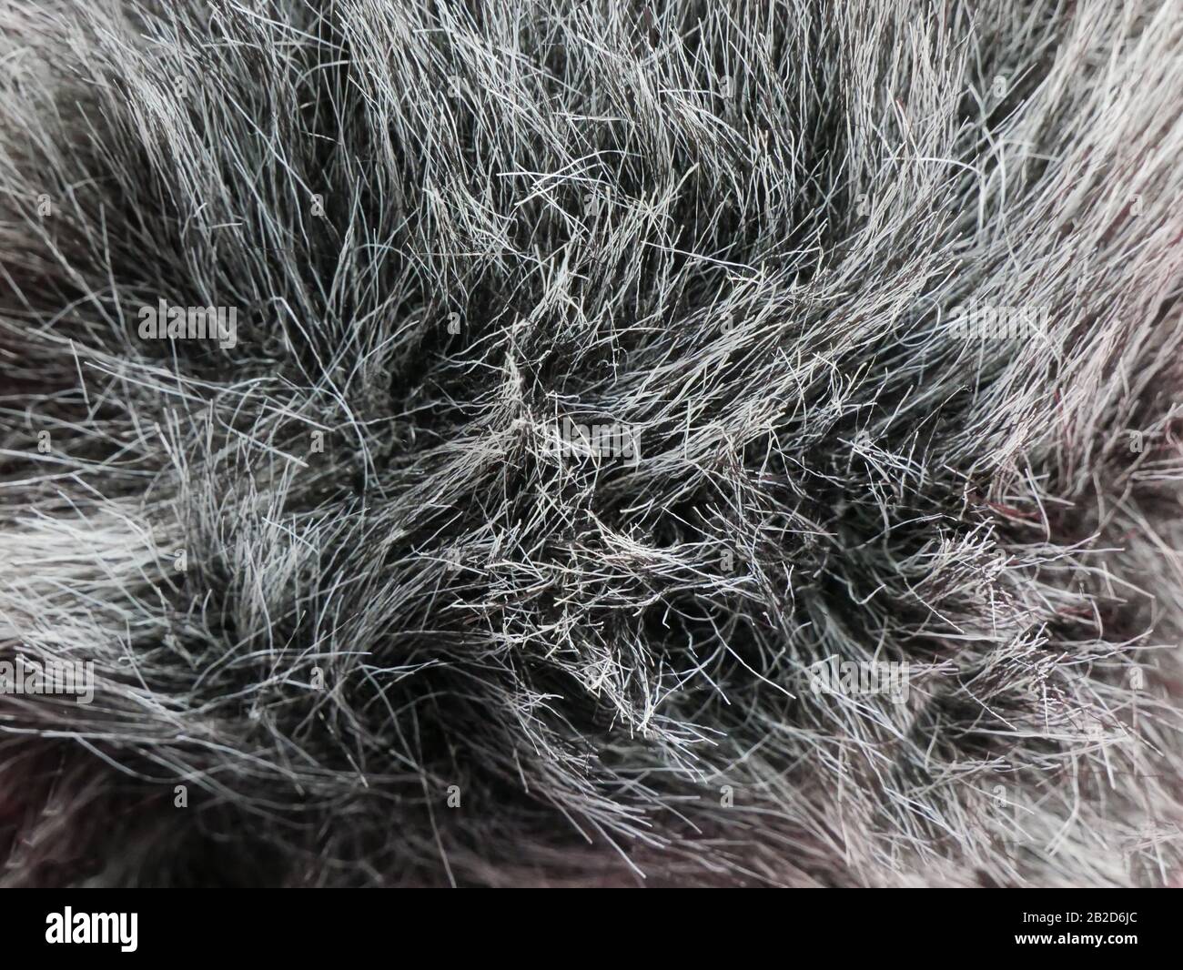 Windproof hi-res stock photography and images - Alamy