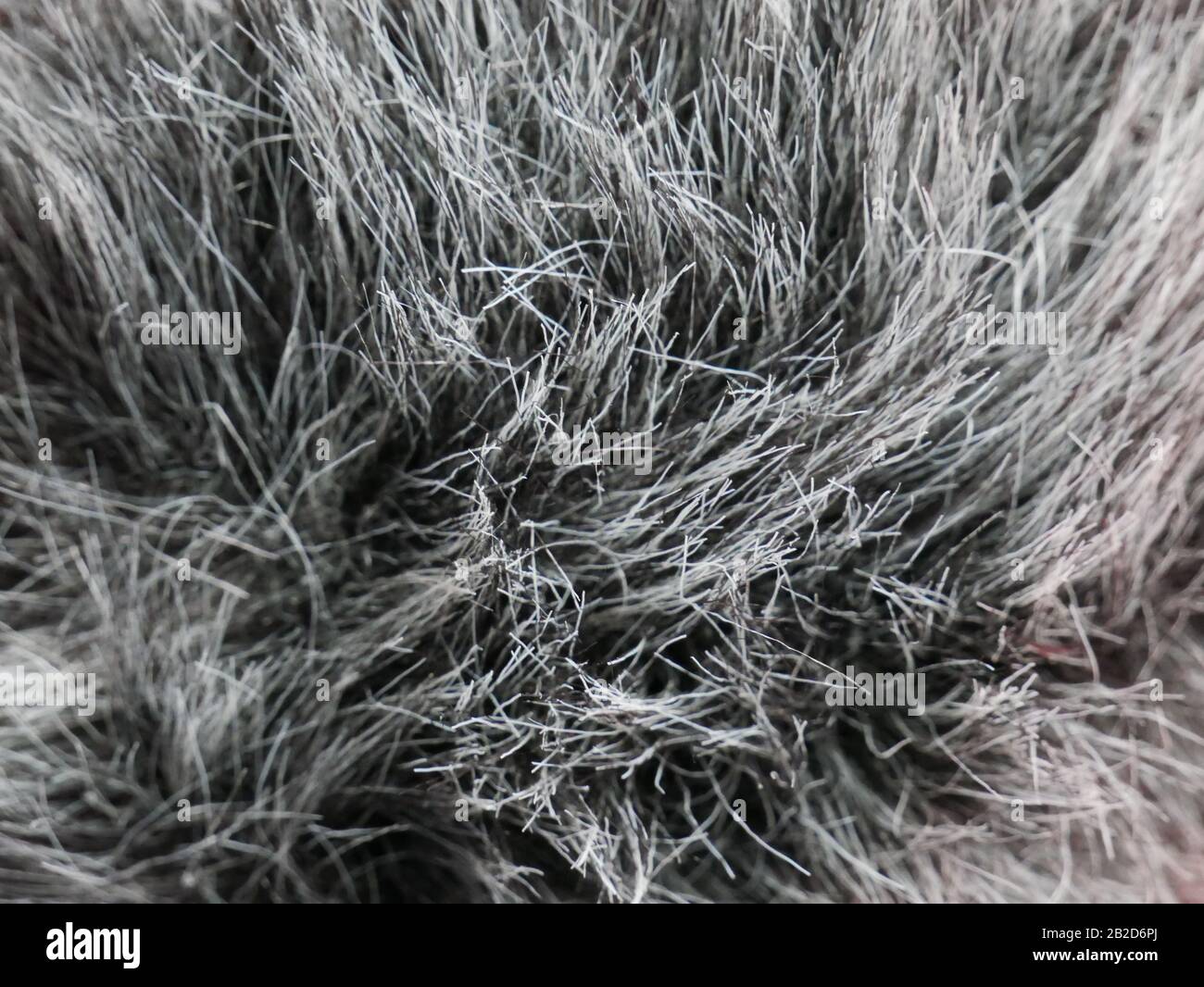 Windproof hi-res stock photography and images - Alamy