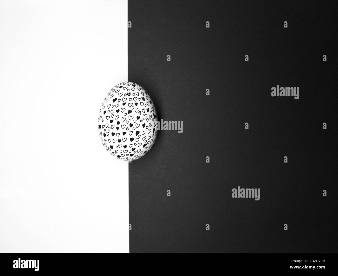 Easter monochrome banner. Flat lay with copy space. Single white egg on ...