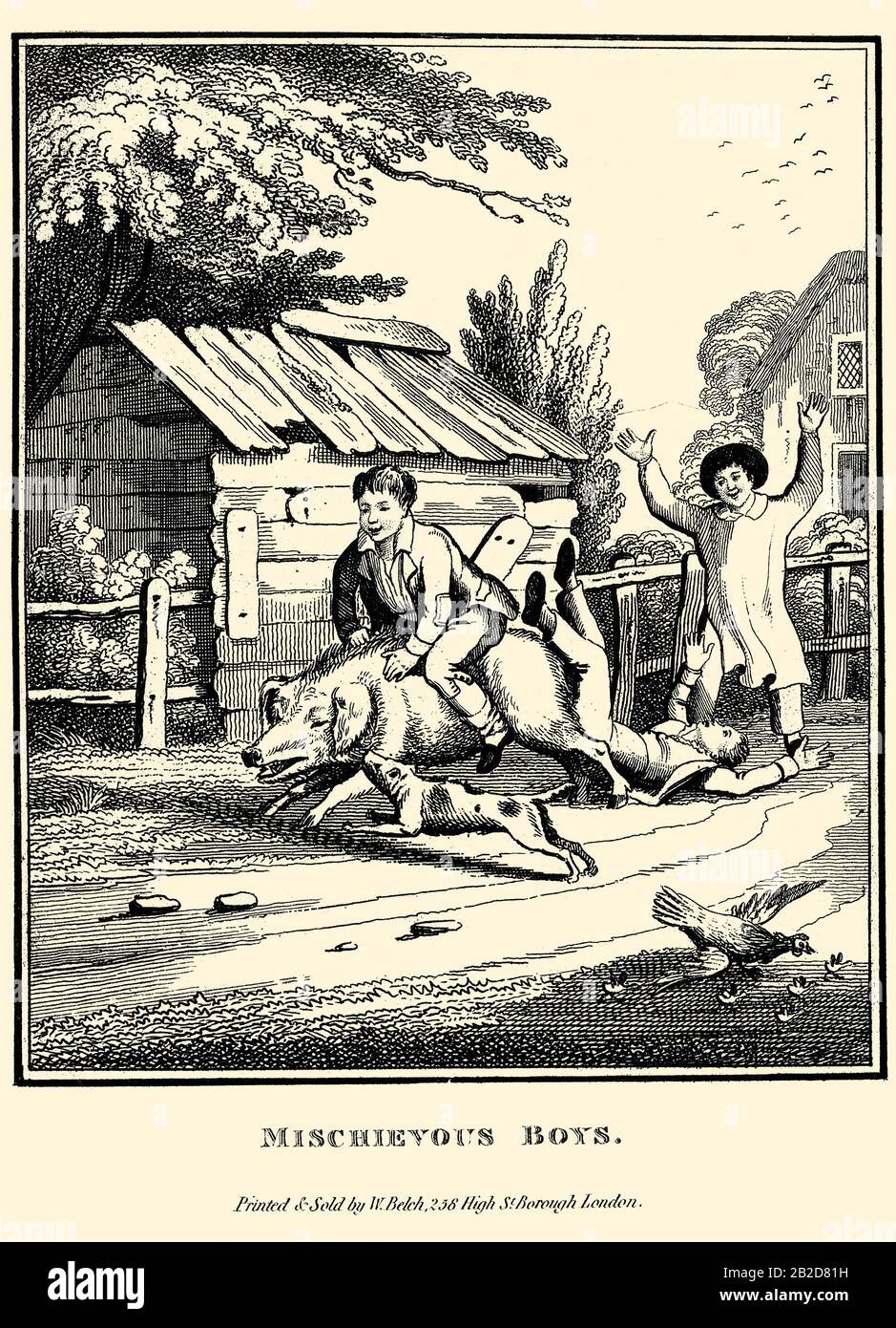 Riding pig hi-res stock photography and images - Alamy