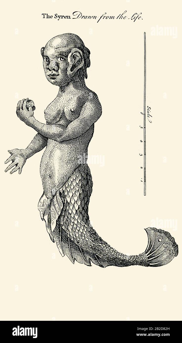 Syren hi-res stock photography and images - Alamy