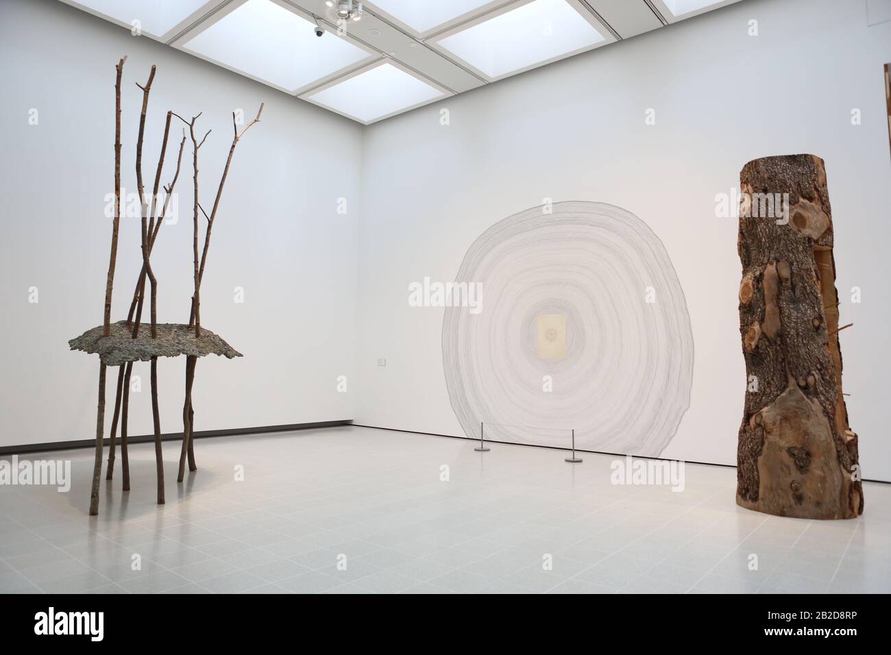 Among the Trees 4 March - 17 May 2020 . Among the trees celebrates key ...