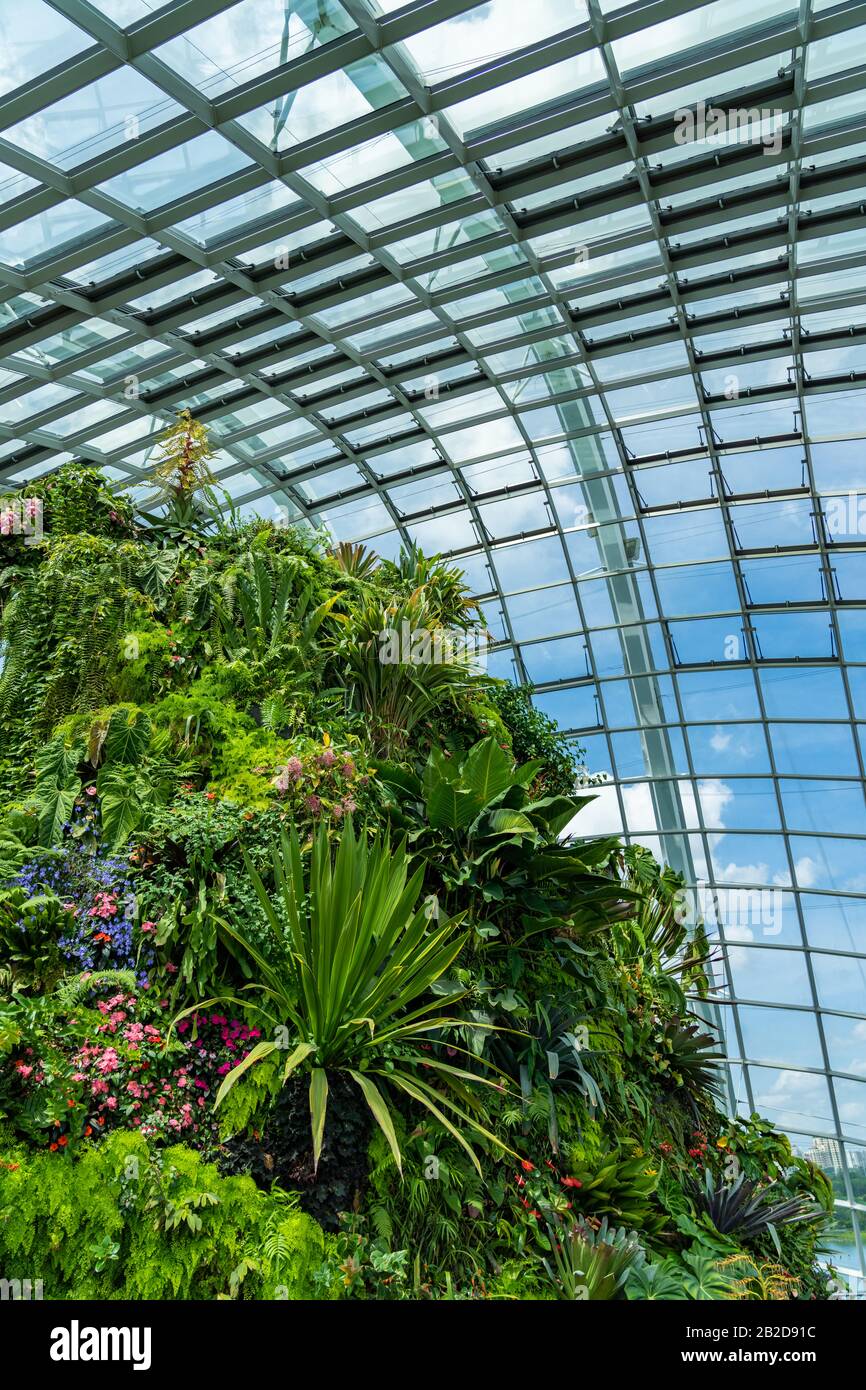 Singapore botanical gardens mist garden hi-res stock photography and ...