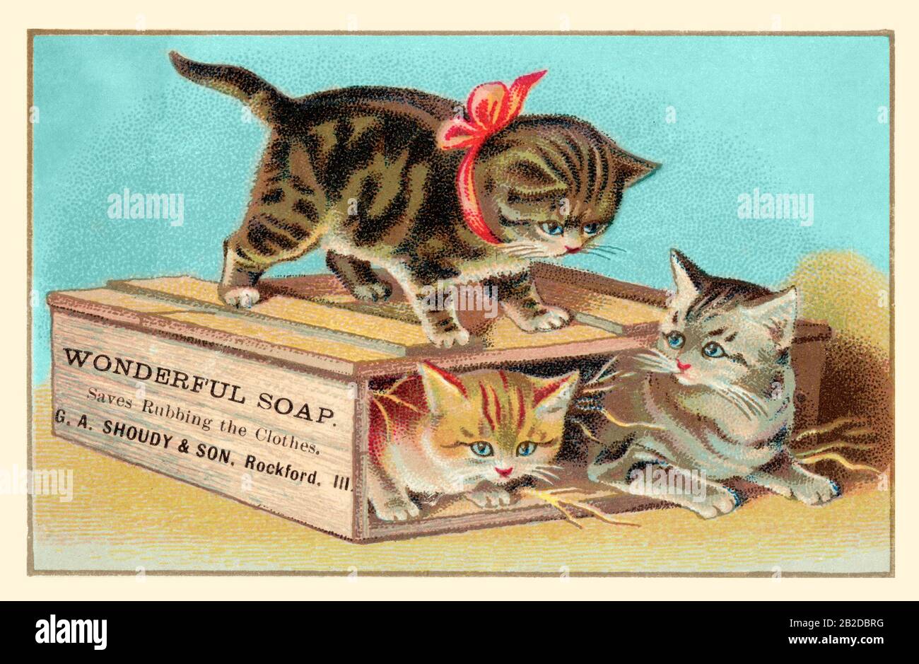 Cat Advertisements