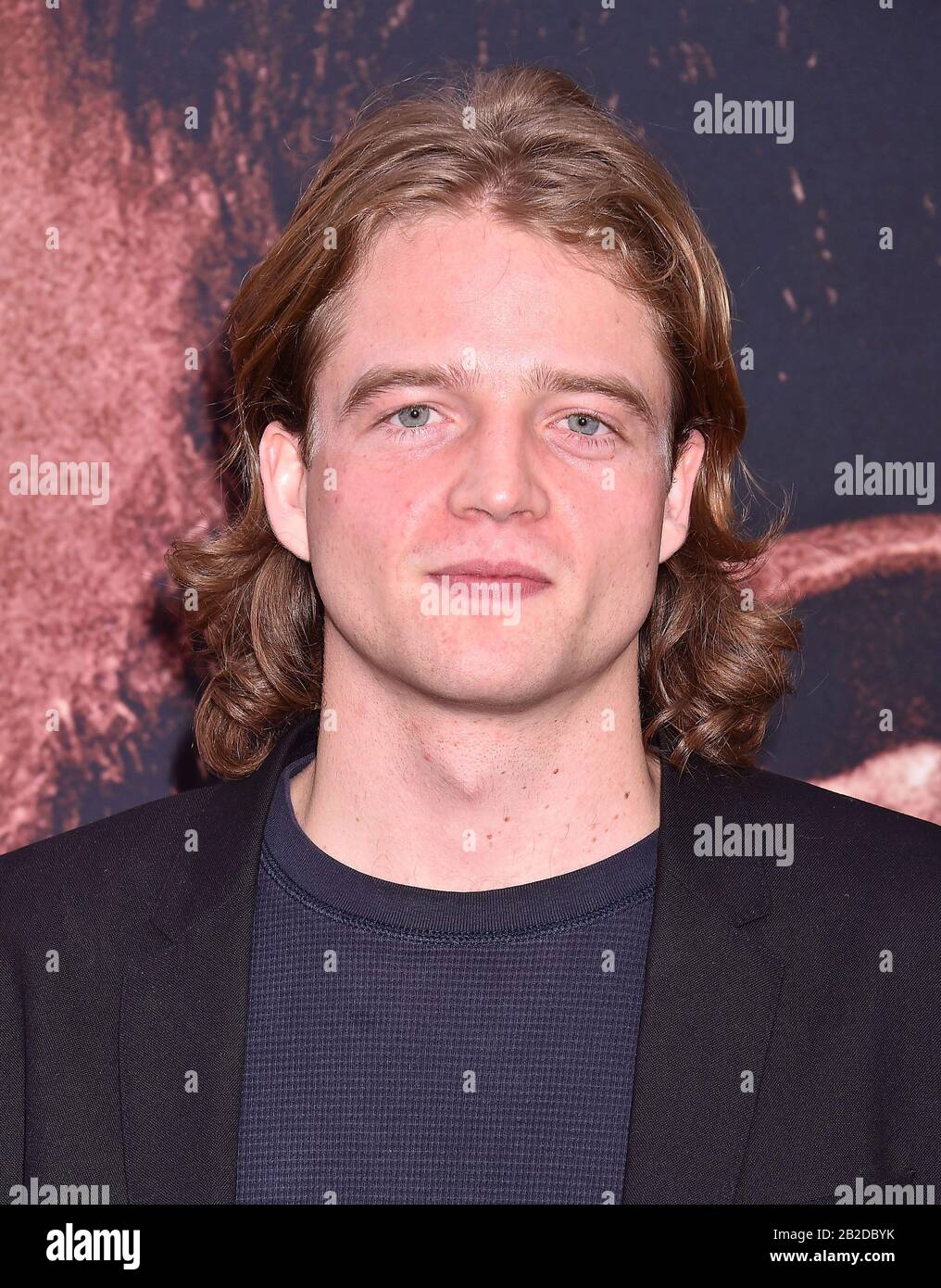 LOS ANGELES, CA - MARCH 01: Benjamin Irving attends the premiere of ...