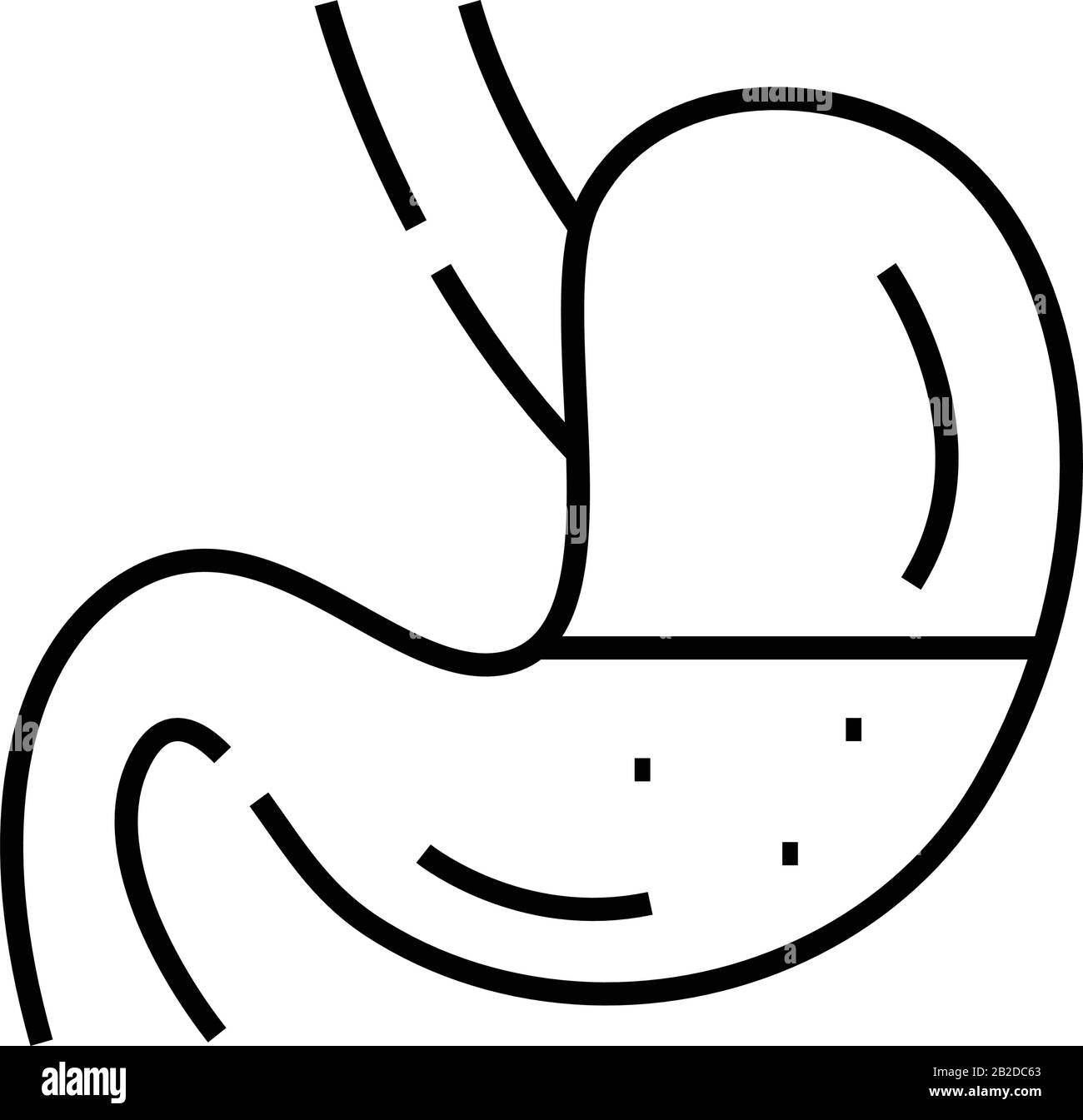 Stomach line icon, concept sign, outline vector illustration, linear ...