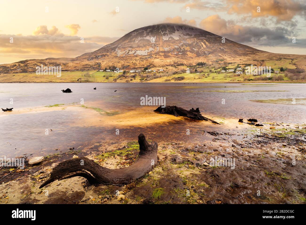 Twisted tree trunks submerged in Dunlewy lake with view at Errigal ...