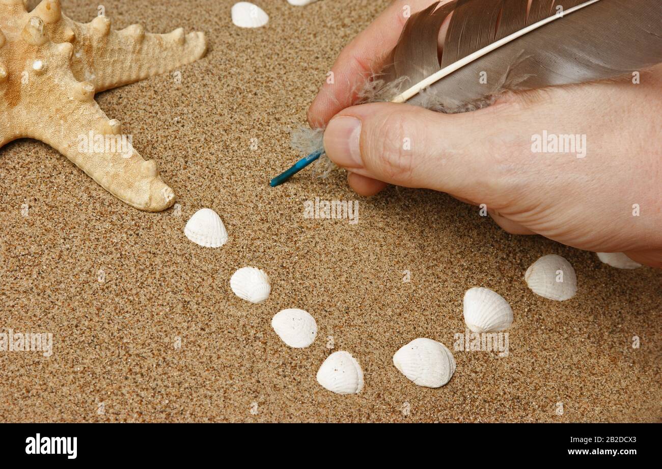 Hand with shell on sandy beach close up hi-res stock photography and ...