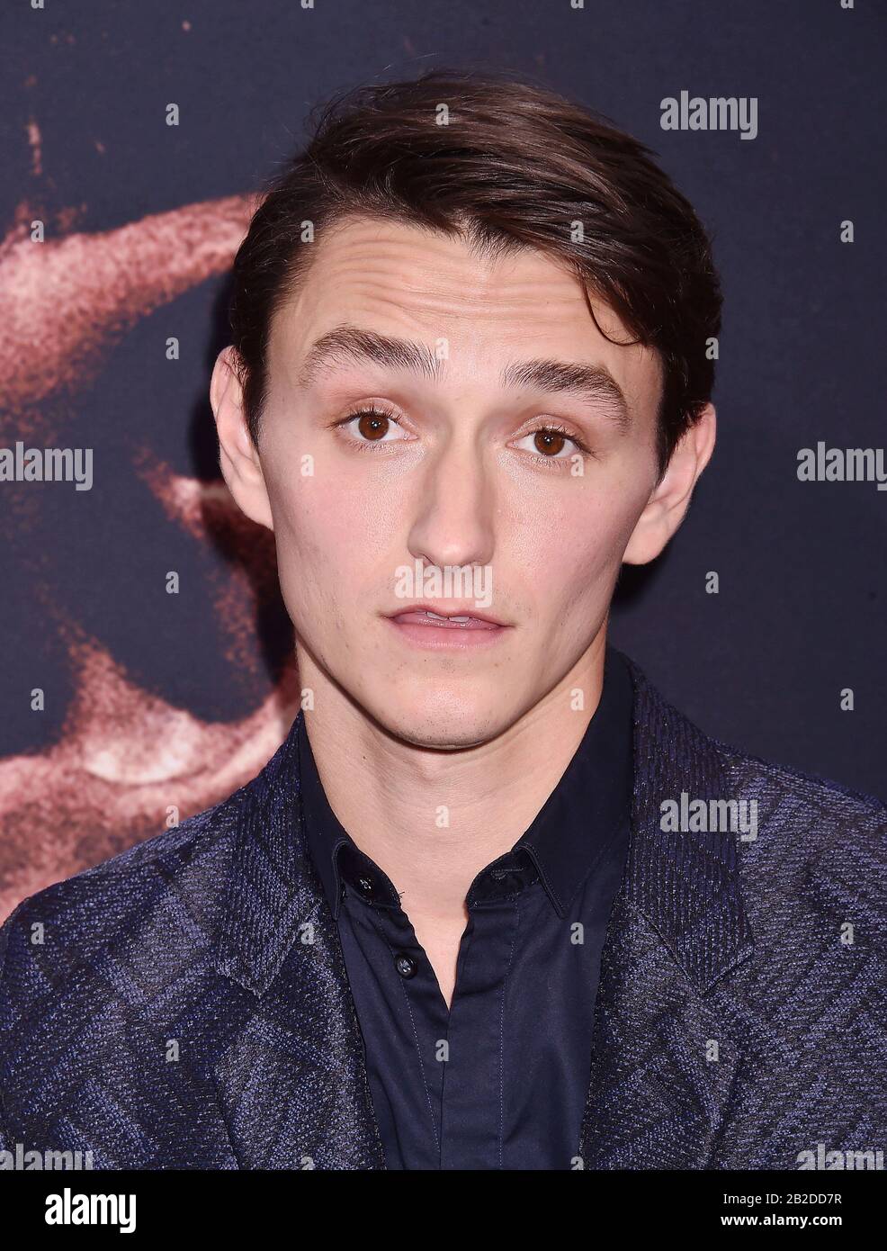 LOS ANGELES, CA - MARCH 01: Will Ropp attends the premiere of Warner ...