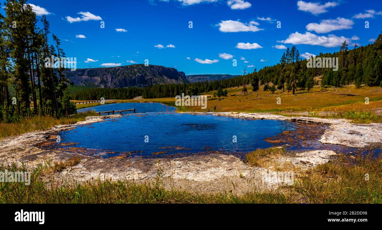 Terrace Spring is a small grouping of thermal features in Yellowstone ...