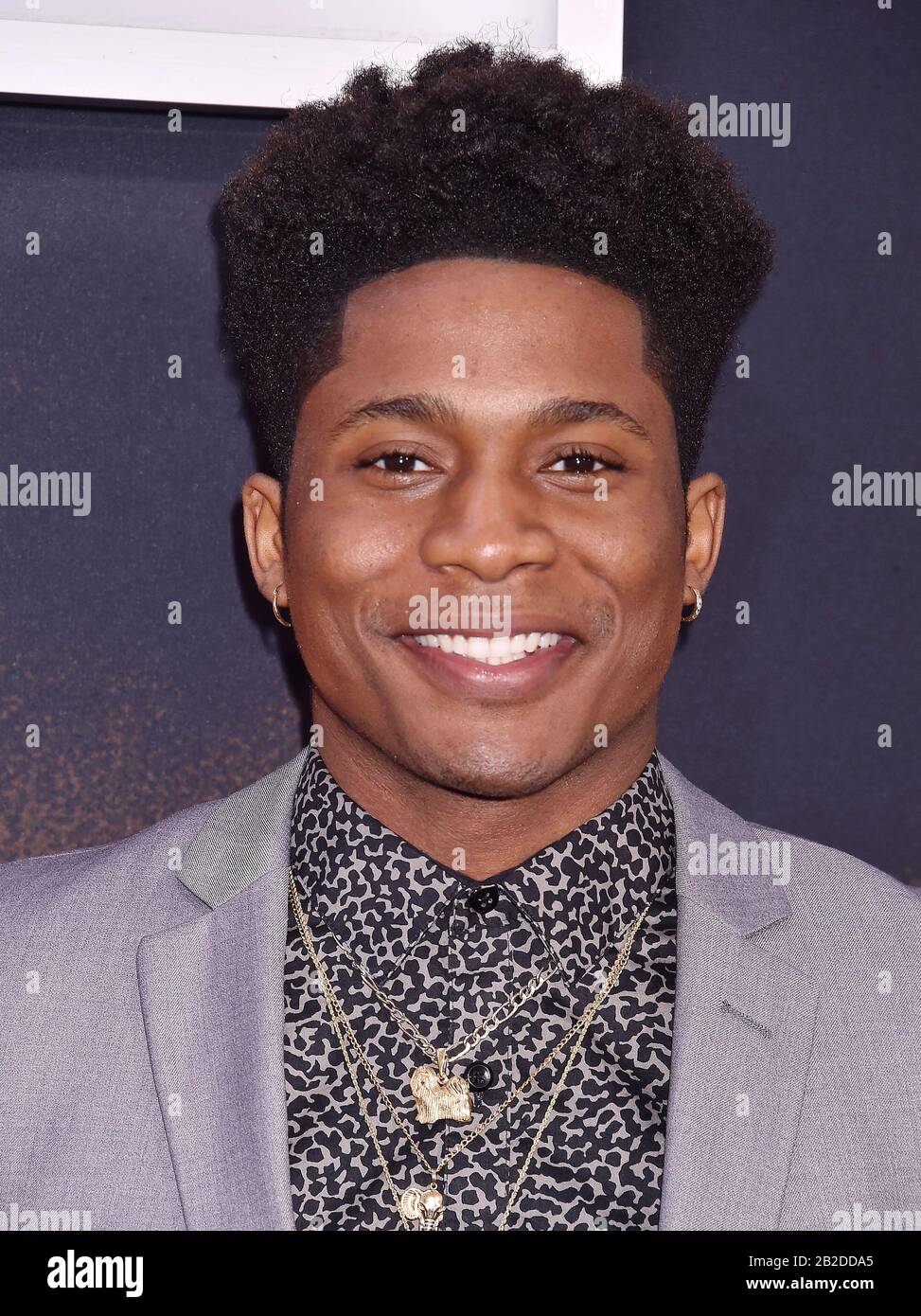 LOS ANGELES, CA - MARCH 01: Charles Lott Jr. attends the premiere of ...