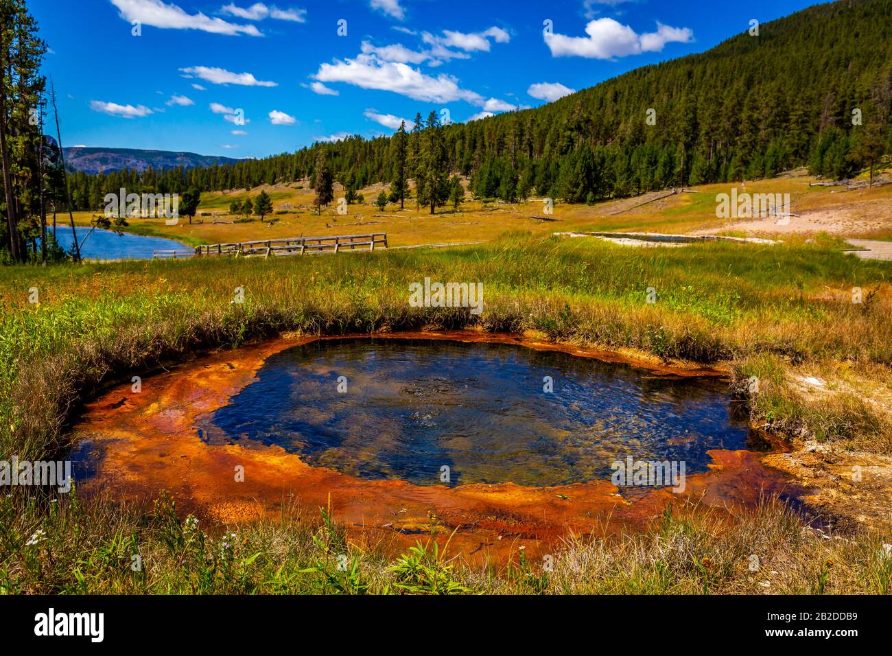 Terrace Spring is a small grouping of thermal features in Yellowstone ...