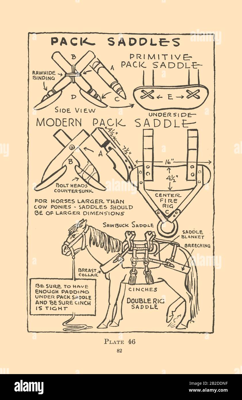 Pack saddle hi-res stock photography and images - Alamy