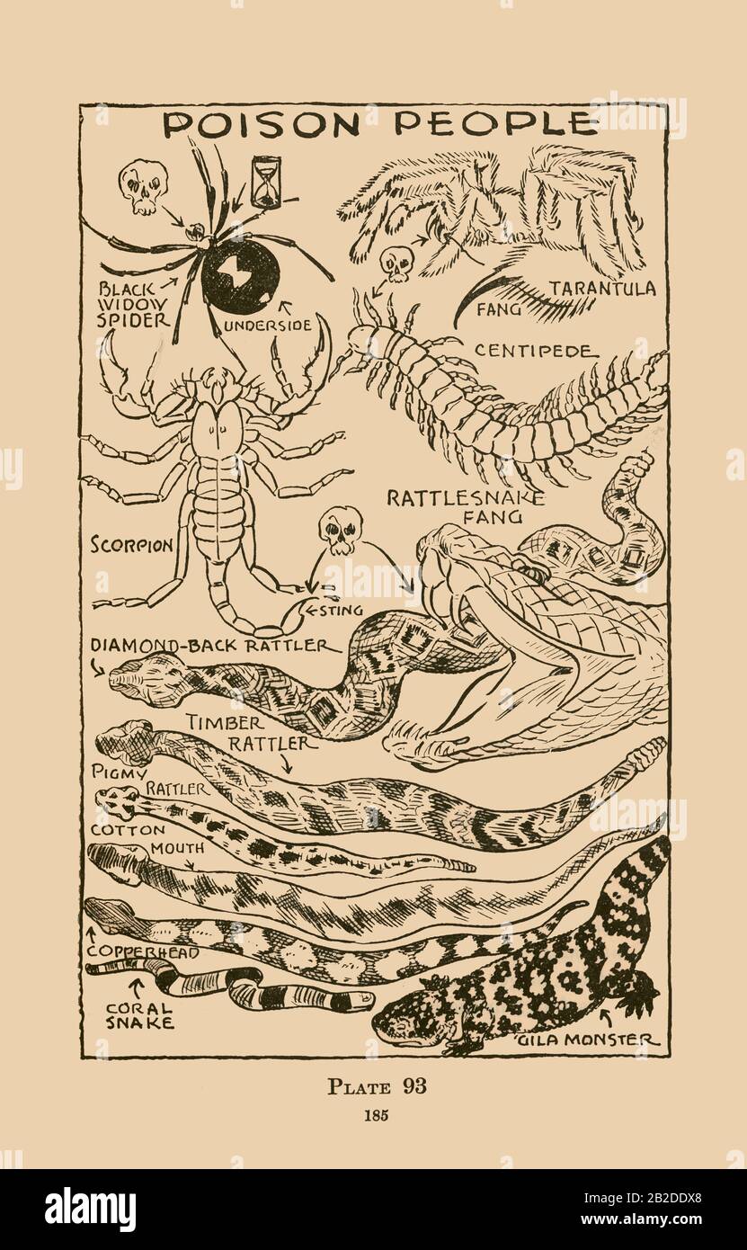 Poison People II Stock Photo - Alamy