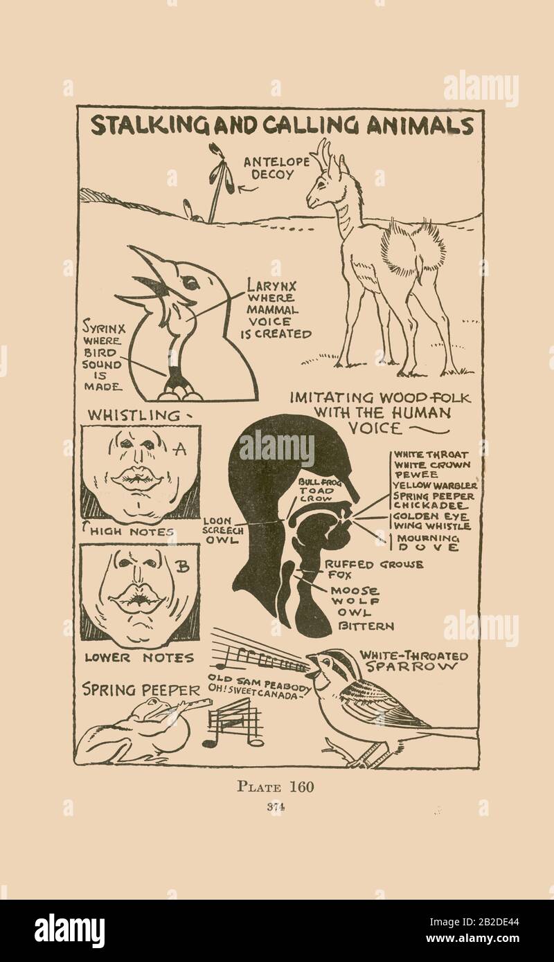 Whistling sounds hi-res stock photography and images - Alamy